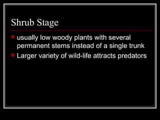 Plant succession | PPT