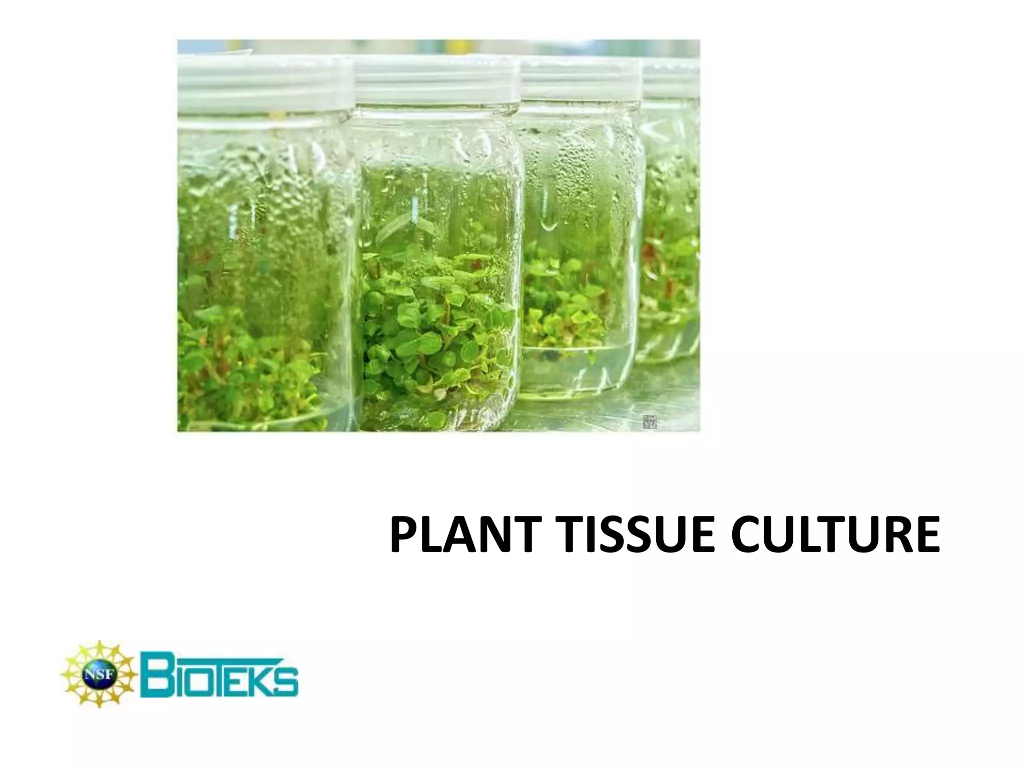 PLANT-TISSUE-CULTURE.pptx
