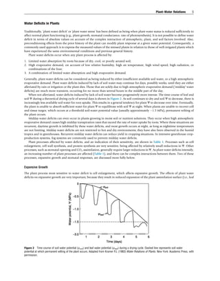 Plant water relations | PDF
