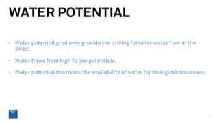 Irrigation Management: Plant-Water Relations and Atmospheric Demand | PDF