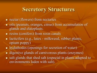 plant%20tissues.pptx