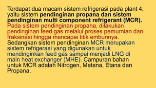 PLANT 4.pptx