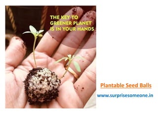 Plantable seed balls | PPTX