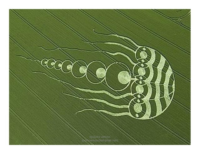 ABNORMALITAS TUMBUHAN DARI CROP CIRCLE | PPT