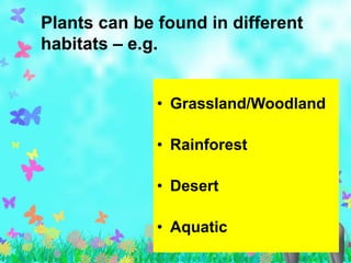 Plant Adaptation | PPTX