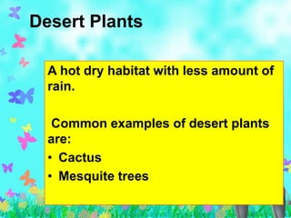 Plant Adaptation | PPTX