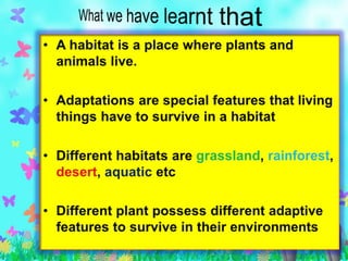 Plant Adaptation | PPTX