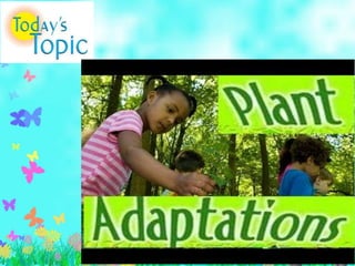 Plant Adaptation | PPTX