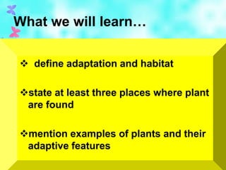 Plant Adaptation | PPTX