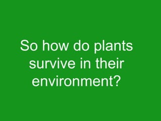 Plant Adaptations | PPT