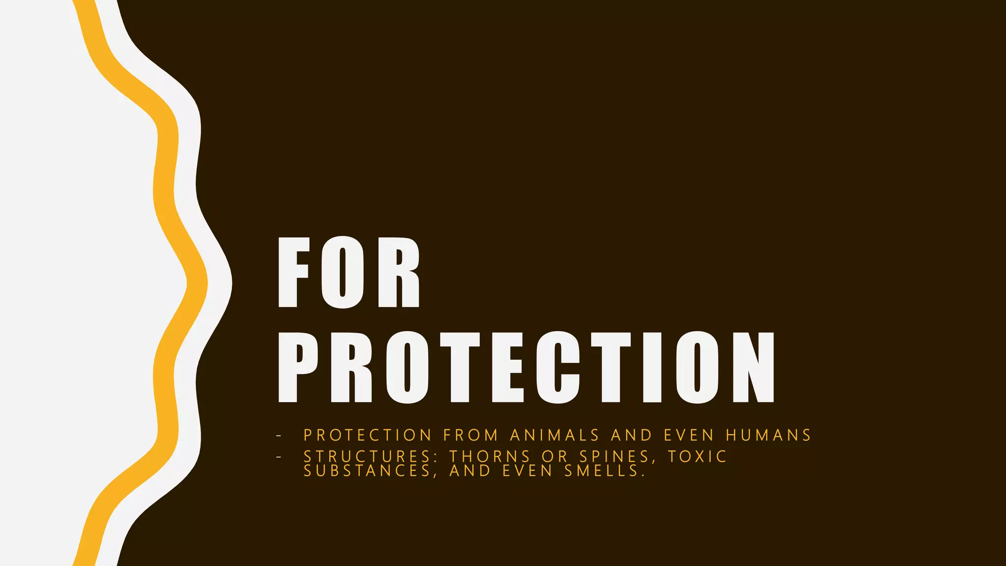 Plant adaptations | PPTX