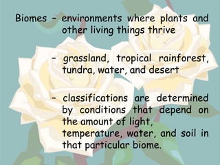 Plant adaptations | PPTX
