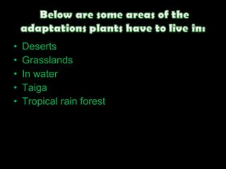 Plant adaptations | PPT
