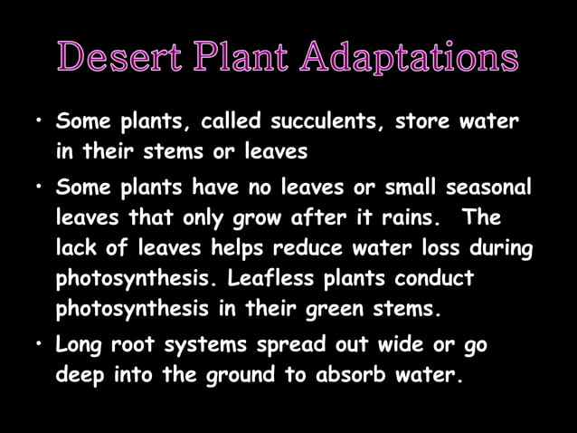 Plant adaptations | PPT | Gardening | Home & Garden