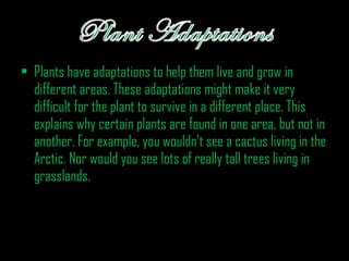 Plant adaptations | PPT