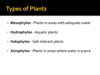 Xerophytes Mesophytes Hydrophytes