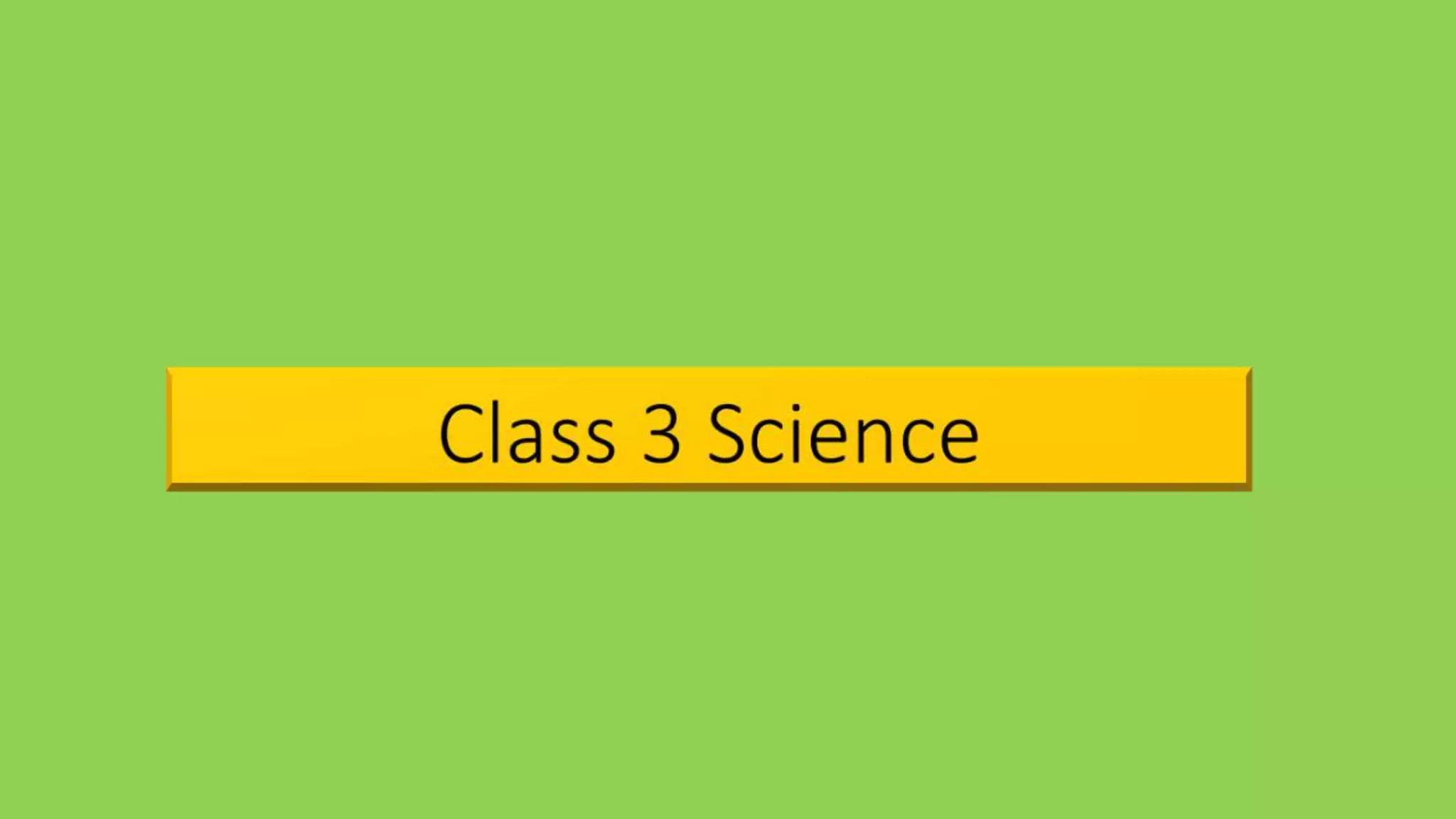 Plant Adaptations 2 Ppt
