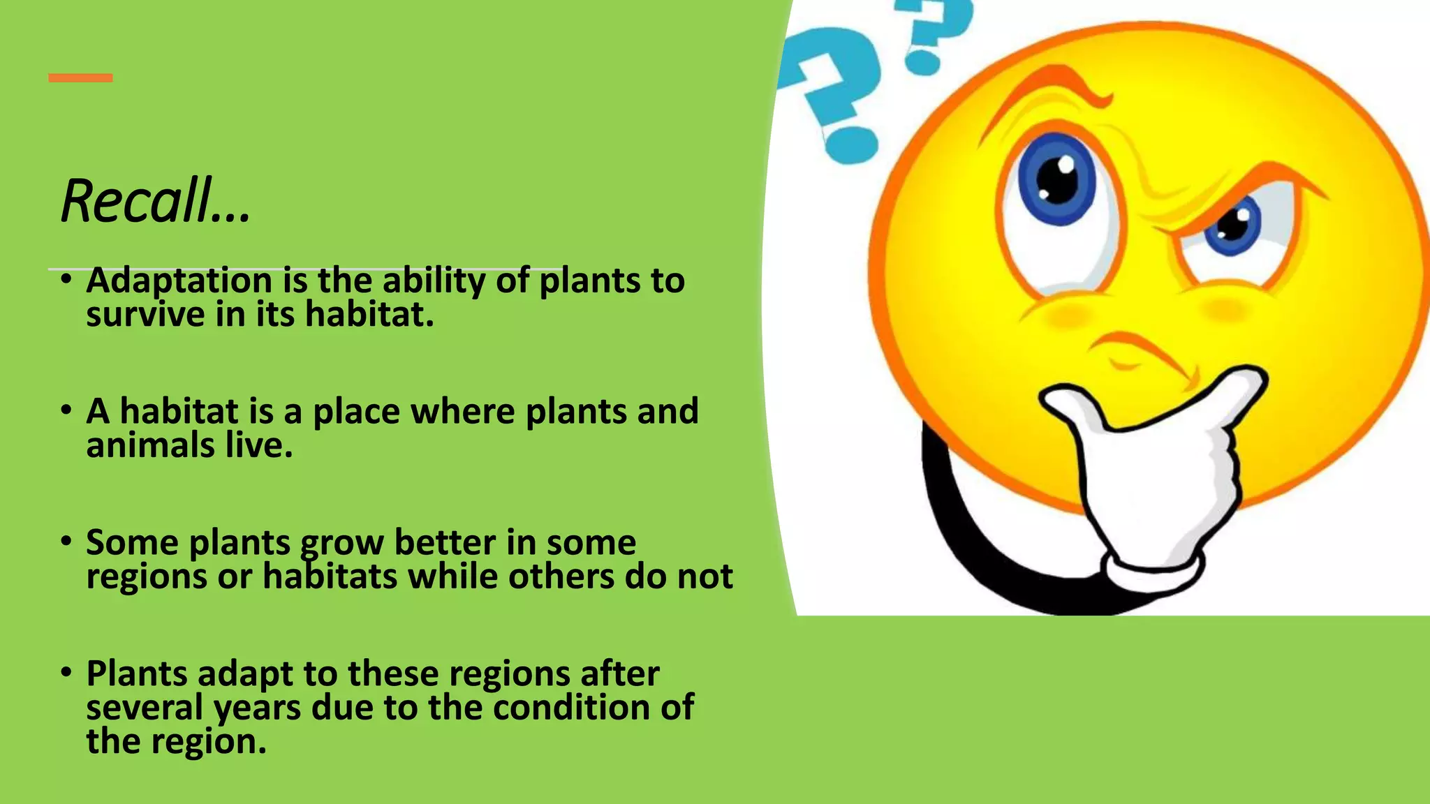 Plant Adaptations 2 Ppt