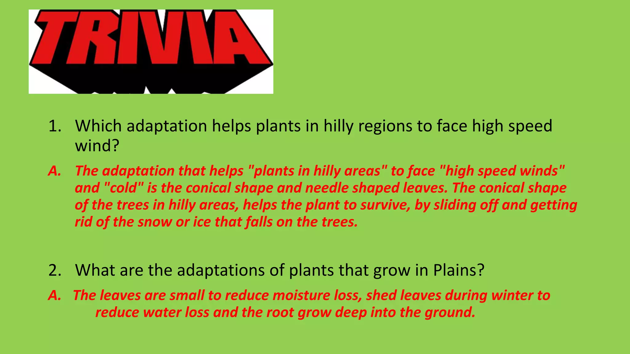Plant Adaptations 2 Ppt