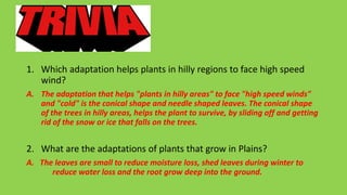 Plant Adaptations 2 | PPTX