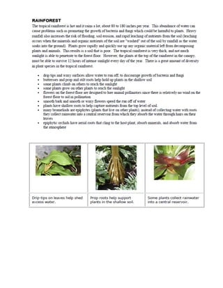 Plant adaptations readings | PDF