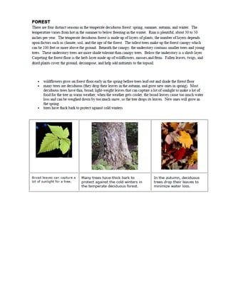 Plant adaptations readings | PDF