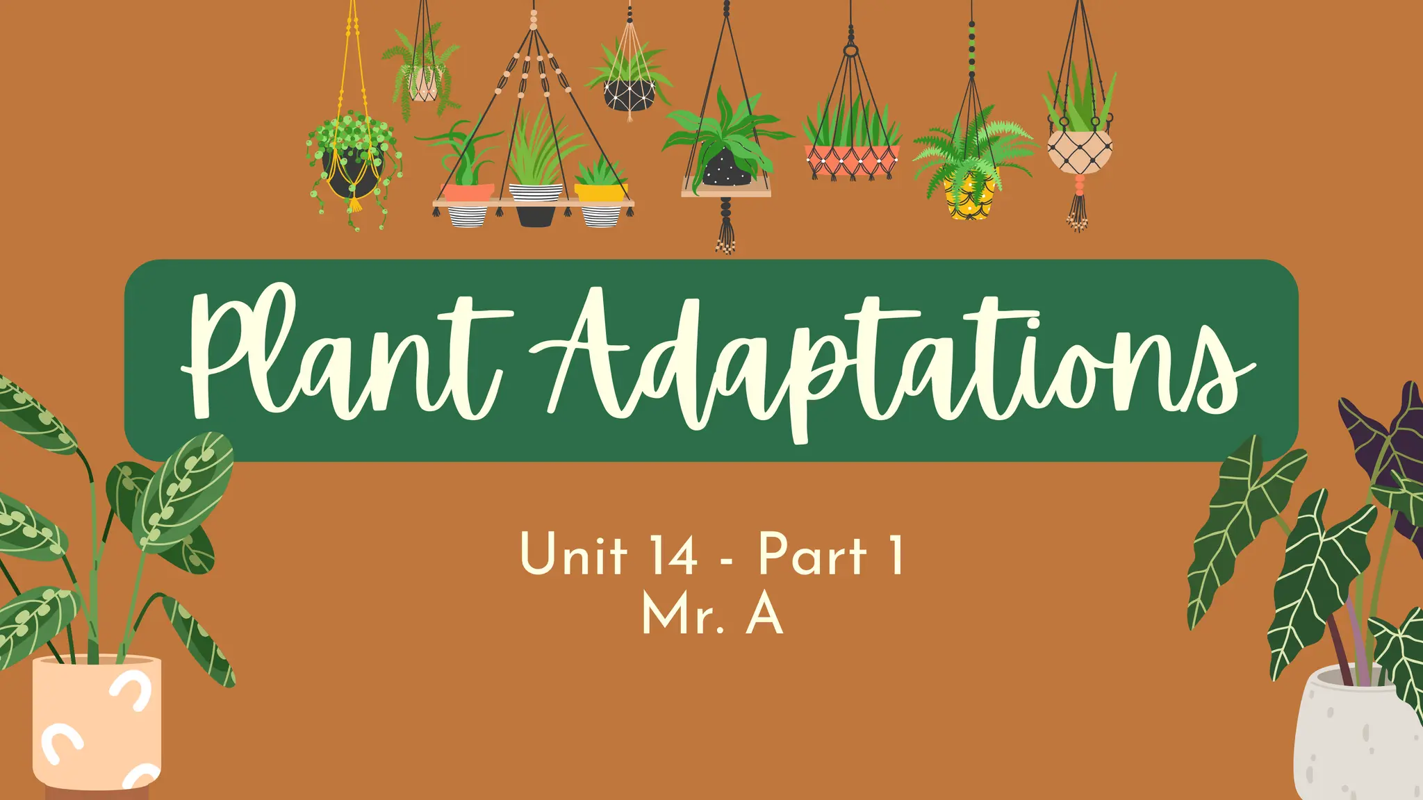 Structural, Behavioral, Physiological Plant Adaptations (5th Grade Science) | PPT