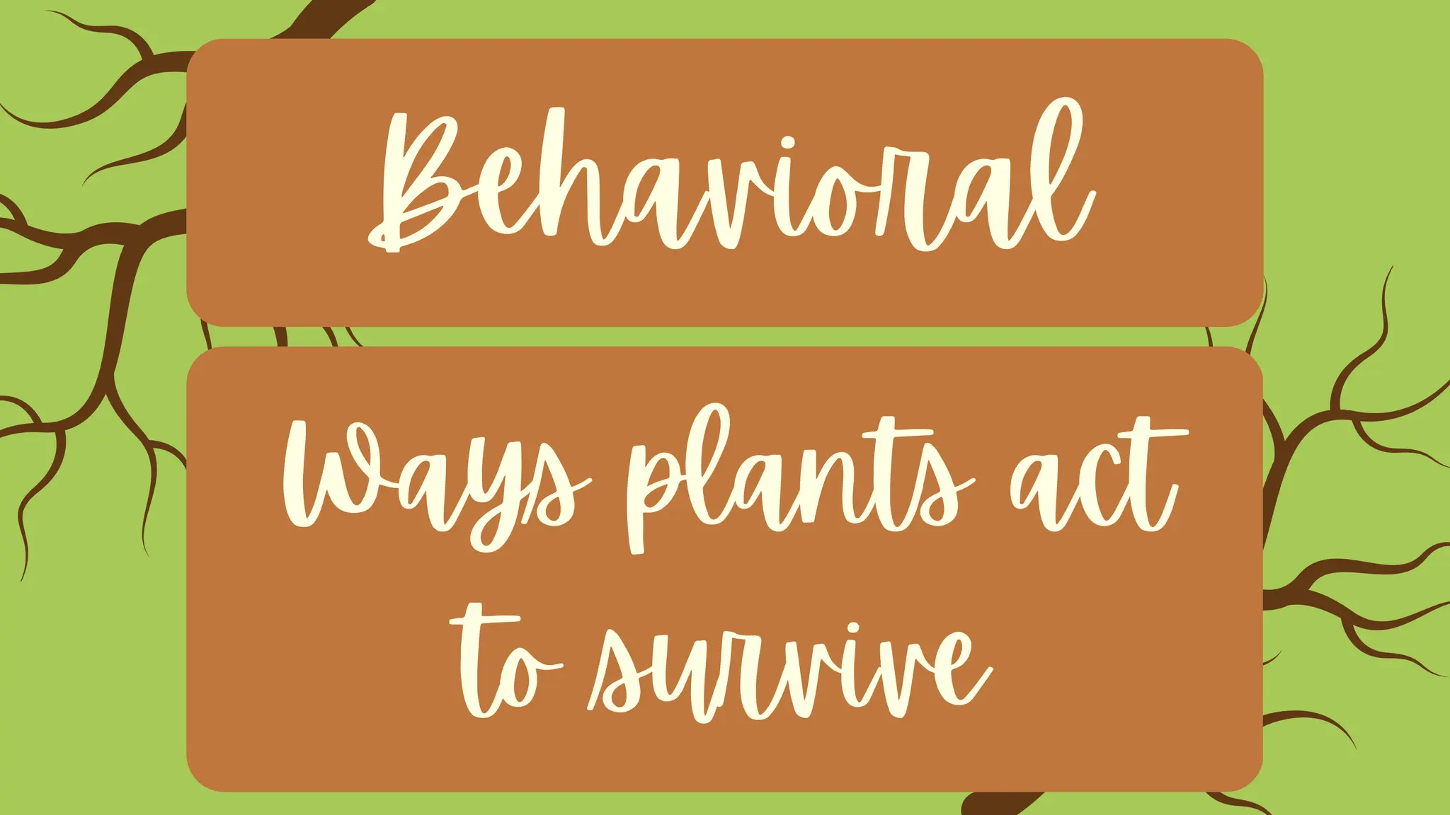 Structural, Behavioral, Physiological Plant Adaptations (5th Grade ...