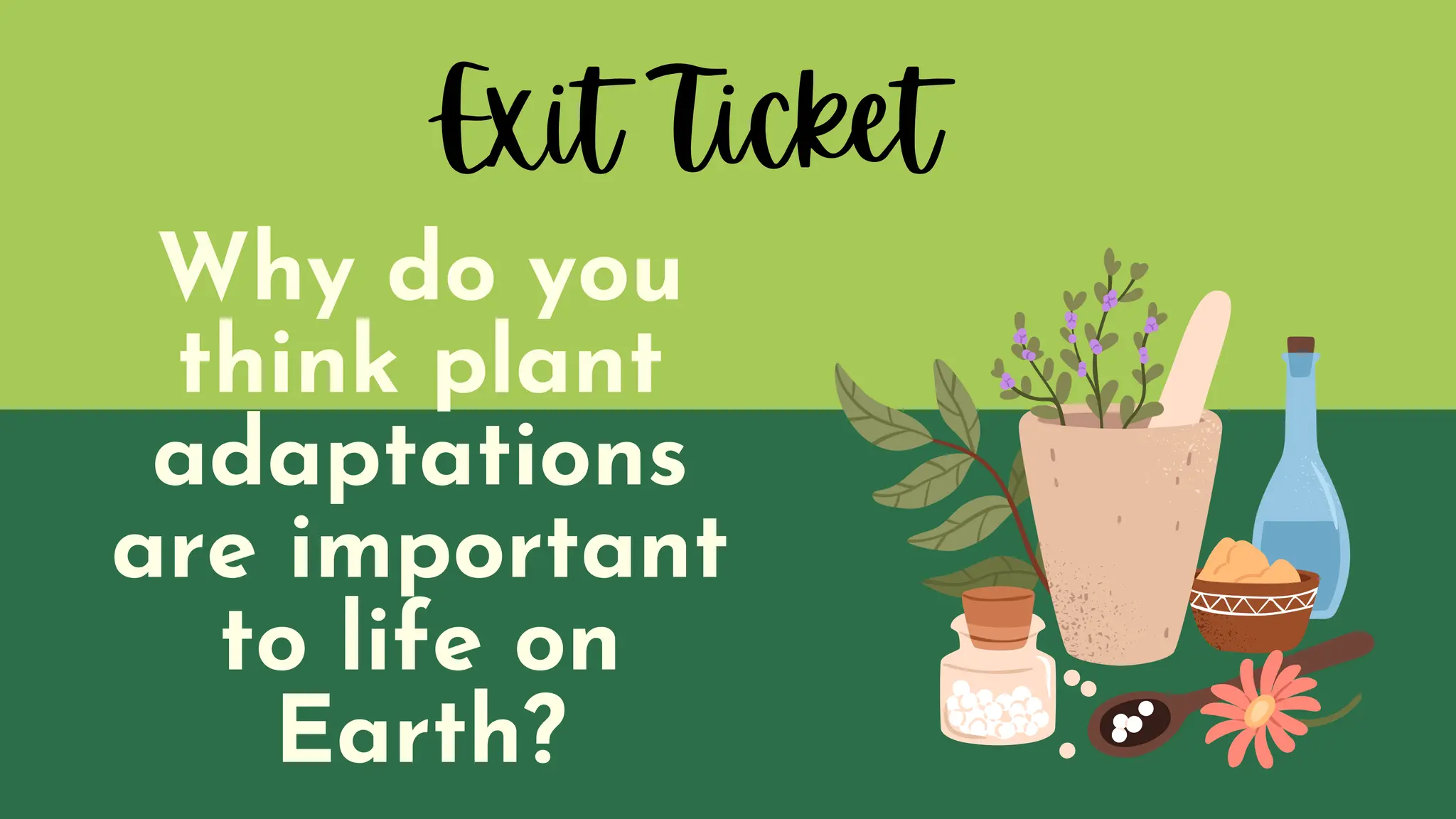 Structural, Behavioral, Physiological Plant Adaptations (5th Grade ...