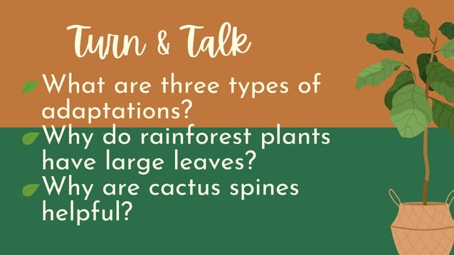 Structural, Behavioral, Physiological Plant Adaptations (5th Grade ...