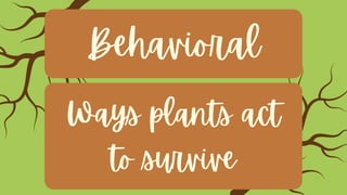 Structural, Behavioral, Physiological Plant Adaptations (5th Grade ...