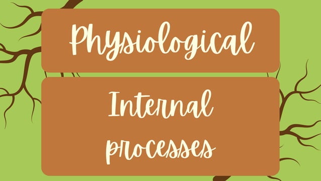 Structural, Behavioral, Physiological Plant Adaptations (5th Grade ...