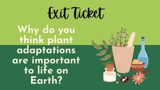 Structural, Behavioral, Physiological Plant Adaptations (5th Grade ...