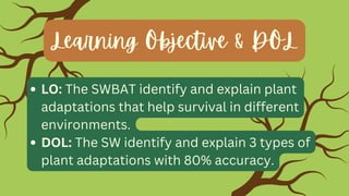 Structural, Behavioral, Physiological Plant Adaptations (5th Grade ...