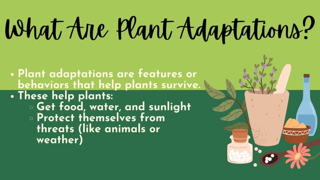 Structural, Behavioral, Physiological Plant Adaptations (5th Grade ...