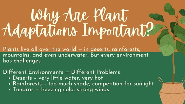 Structural, Behavioral, Physiological Plant Adaptations (5th Grade ...
