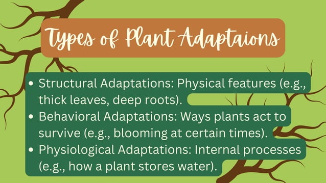 Structural, Behavioral, Physiological Plant Adaptations (5th Grade ...