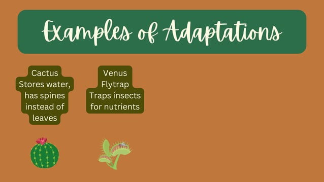 Structural, Behavioral, Physiological Plant Adaptations (5th Grade ...