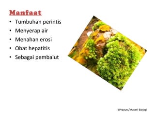 Plantae, Kingdom Tumbuhan | PPT