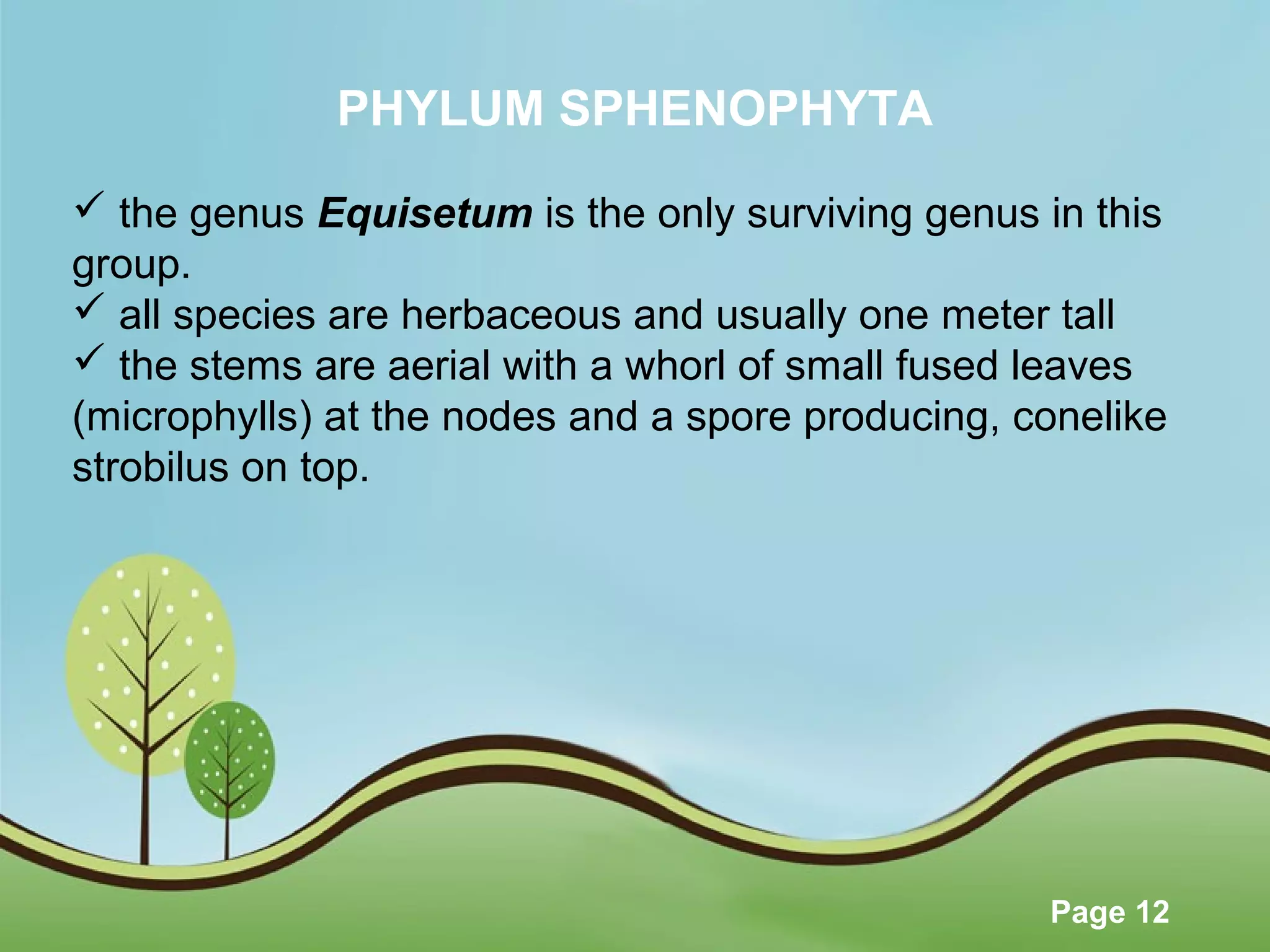 Kingdom Plantae | PPT