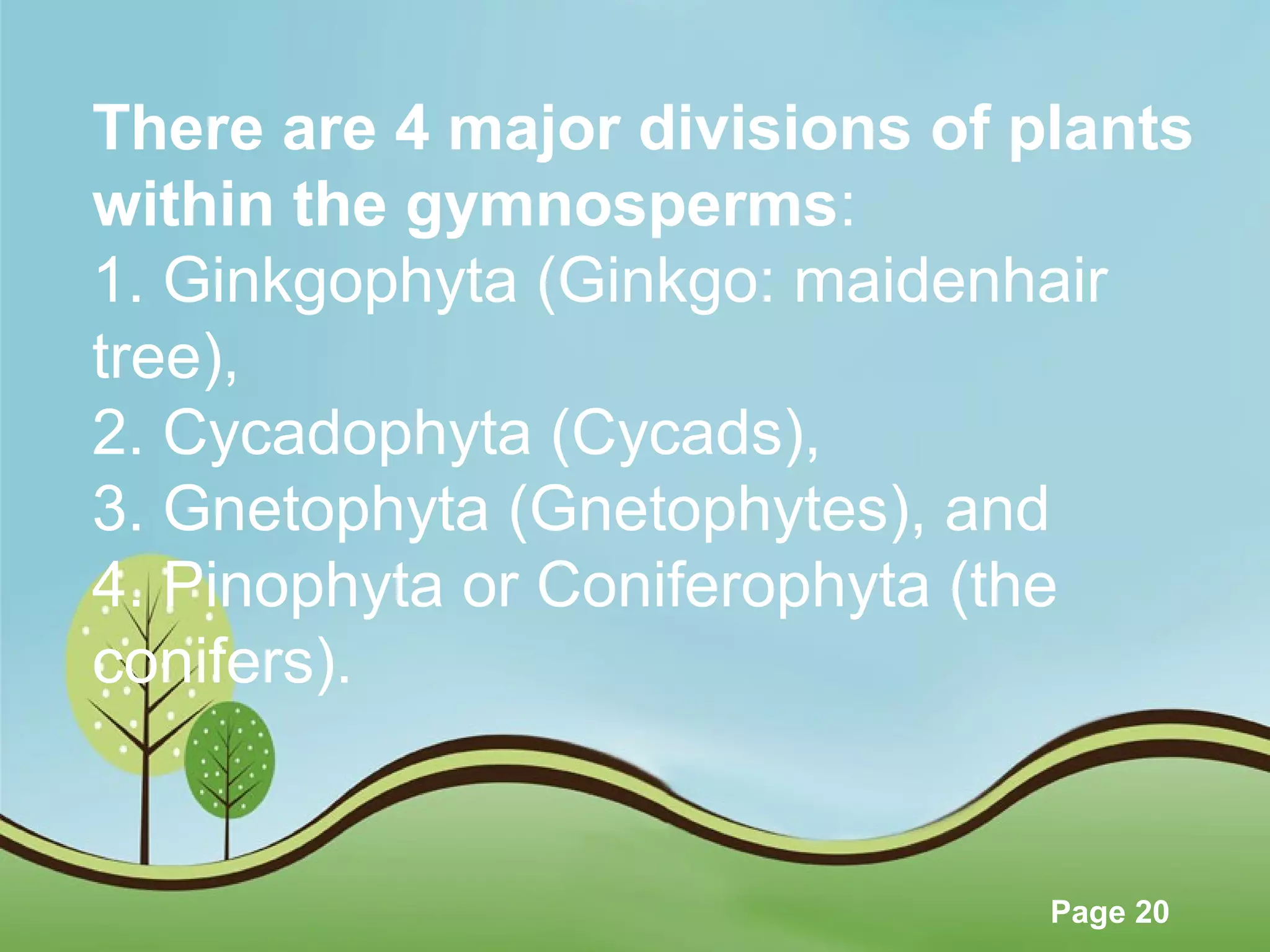 Kingdom Plantae | PPT