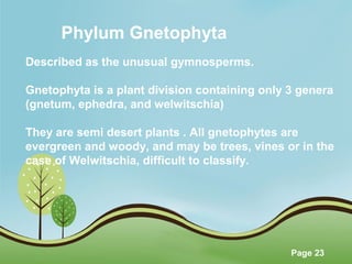 Kingdom Plantae | PPT