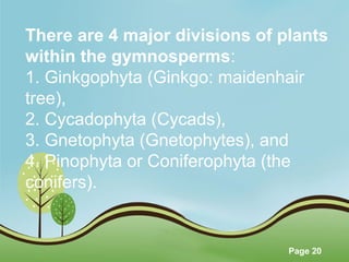 Plantae Definition