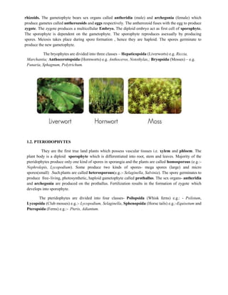 plantae.docx