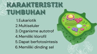 PPT MATERI KLASIFIKASI MAKHLUK HIDUP KINGDOM PLANTAE KELAS 7 SMP | PPT