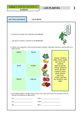 Fichas educativas sobre las plantas completa | PDF