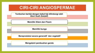 Plantae (kelas x) | PPTX
