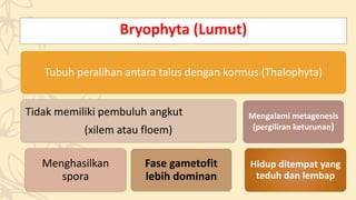 Plantae (kelas x) | PPTX