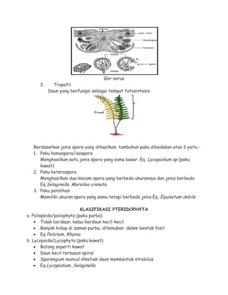 MATERI PLANTAE | DOCX