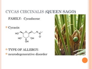 Plant allergens and herbal antiallergic drugs | PPT